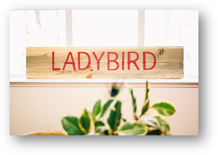 - LADYBIRD face & body